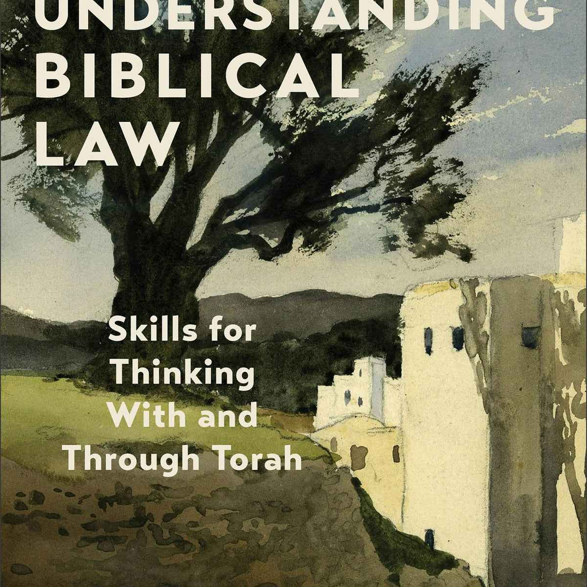 Understanding Biblical Law – Baker Academic